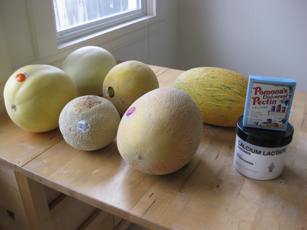 Frankenfoods Part 1: Fruit-Glued Compressed Melon Terrine – Sprout Workshop